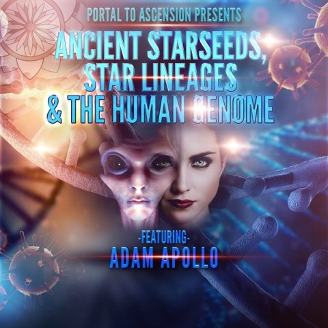 Videos & Audio Media | Adam Apollo